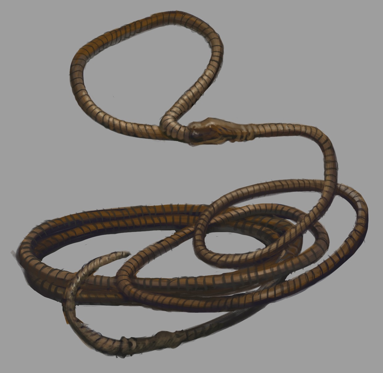 Concept Art - Nylini's Lasso